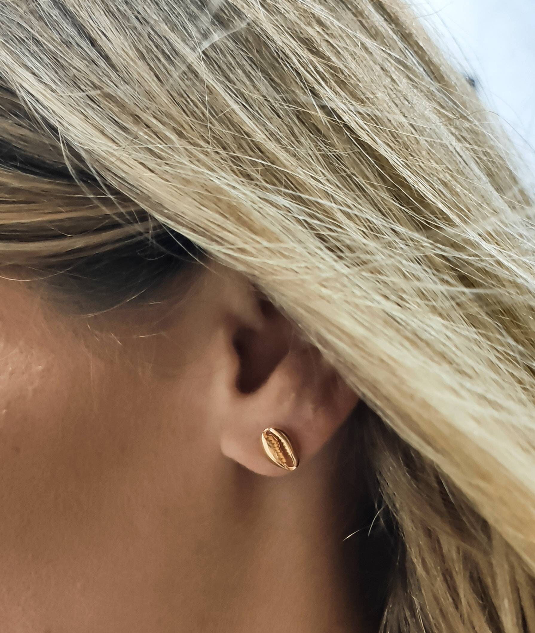 Cowrie shell earrings Stud earrings Tiny stud earrings | Etsy