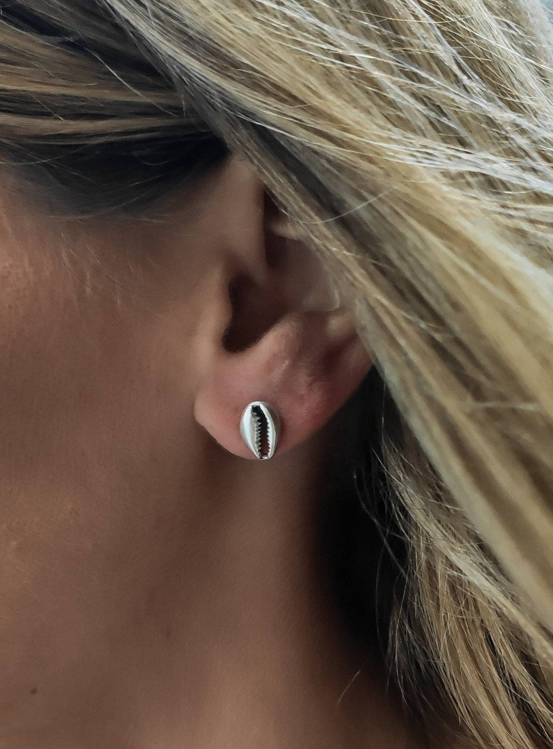 Cowrie shell earrings Stud earrings Tiny stud earrings | Etsy