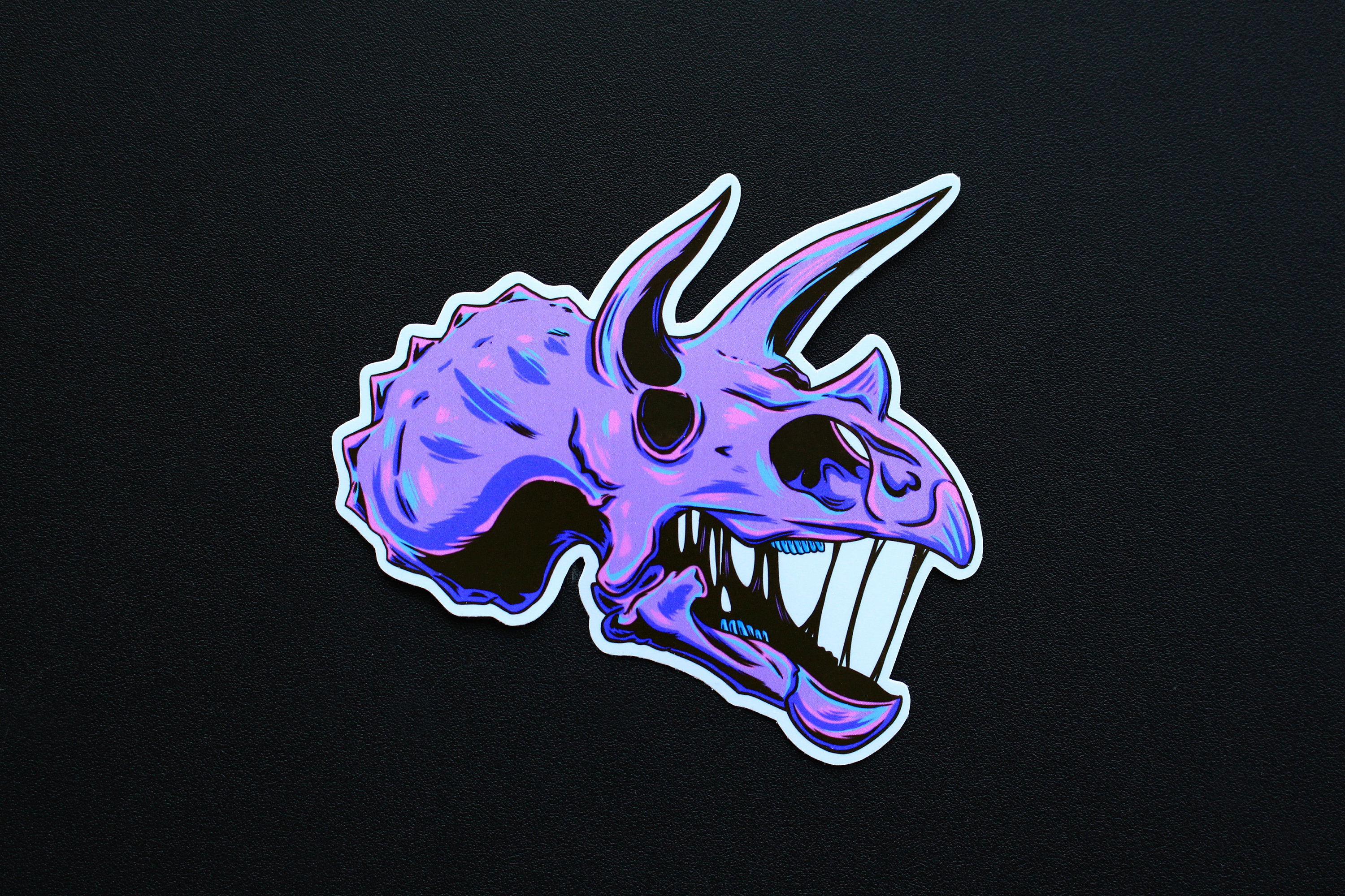 Triceratops Dinosaur Skull Sticker or Magnet - Etsy