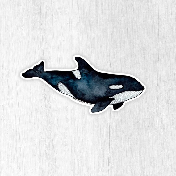 Lil' Orca Weatherproof Vinyl Sticker With Transparent - Etsy