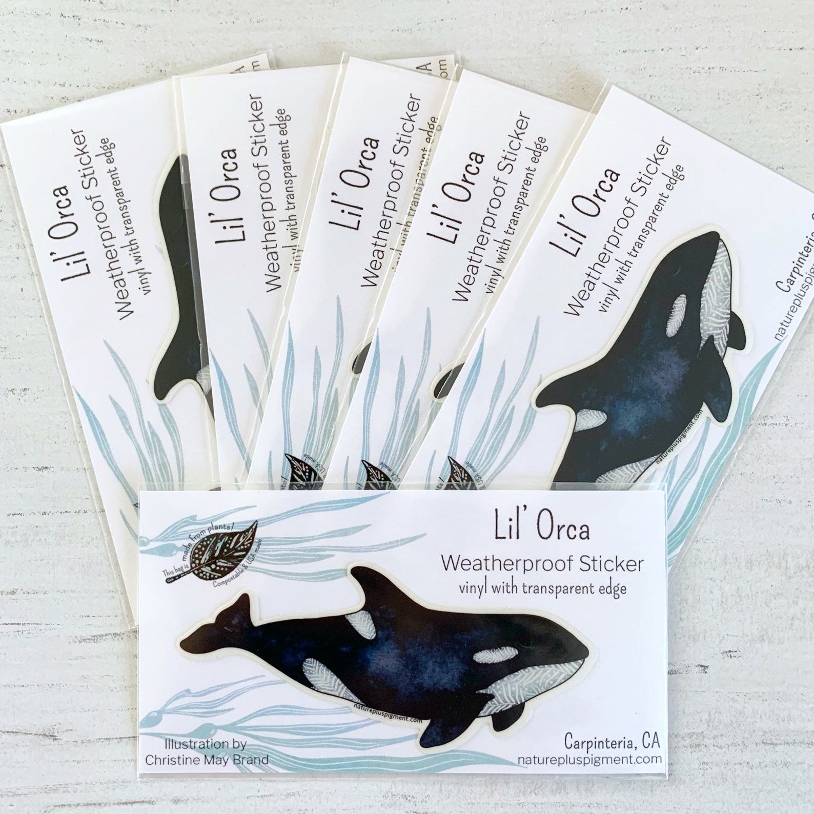 Lil' Orca Weatherproof Vinyl Sticker With Transparent - Etsy