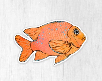 Garibaldi Fish - Etsy