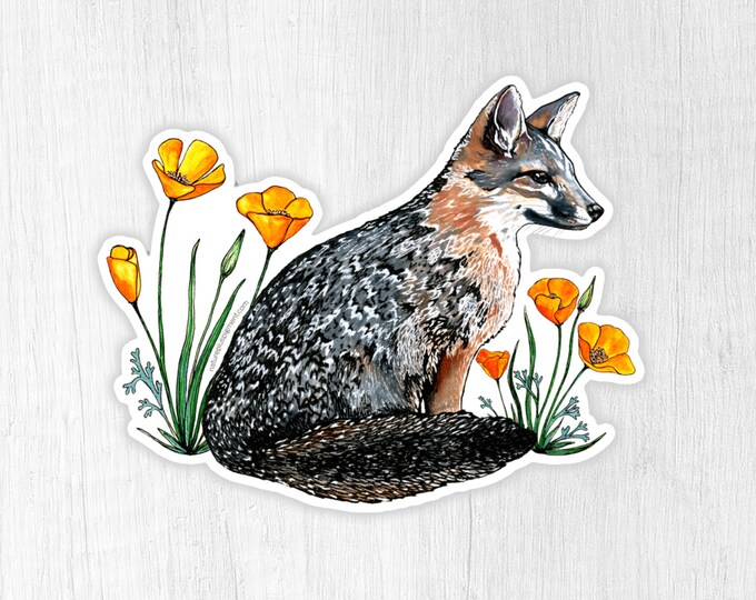 Channel Island Fox Weatherproof Vinyl Sticker With Transparent - Etsy