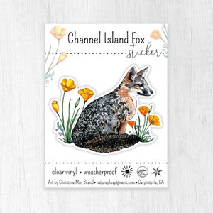 Channel Island Fox Weatherproof Vinyl Sticker With Transparent - Etsy