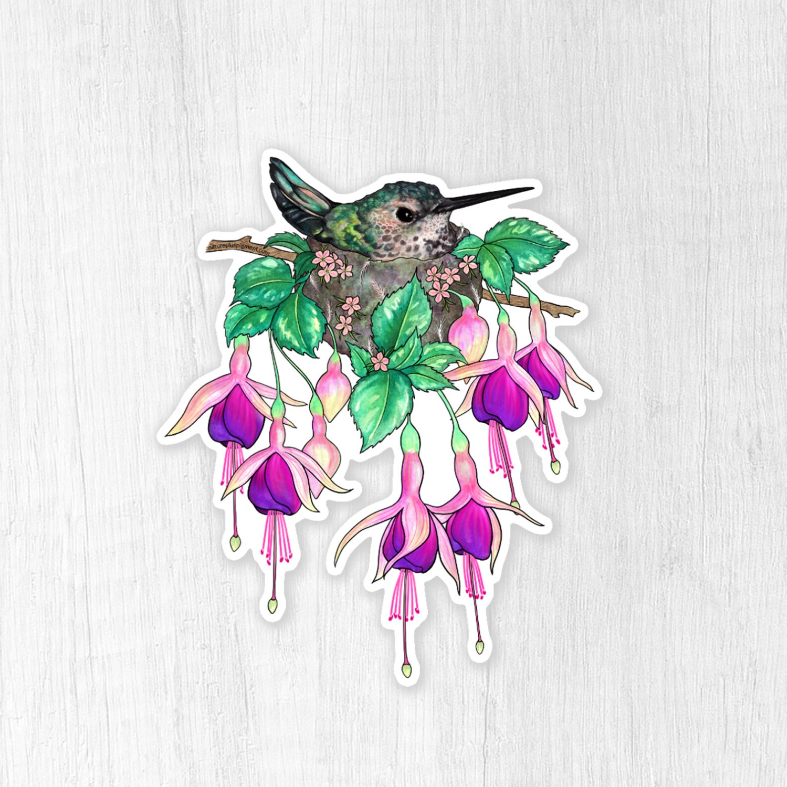 Baby Hummingbird Sticker Weatherproof Sticker Clear Vinyl - Etsy