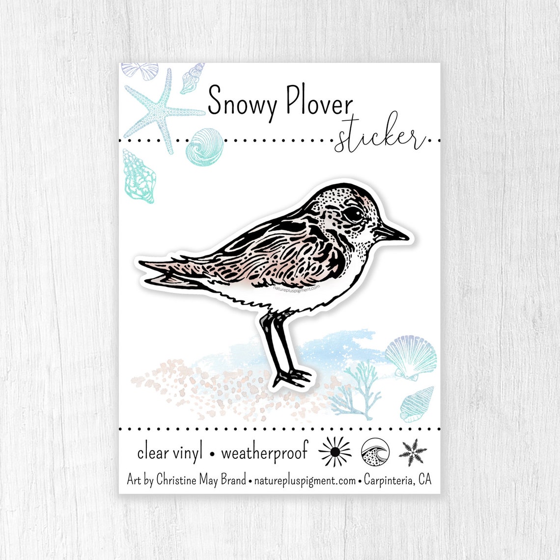 Snowy Plover Bird Weatherproof Vinyl Sticker With Transparent - Etsy