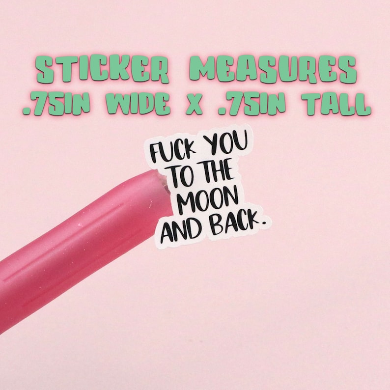 Sassy Stickers Cursing Stickers Curse Word Stickers - Etsy