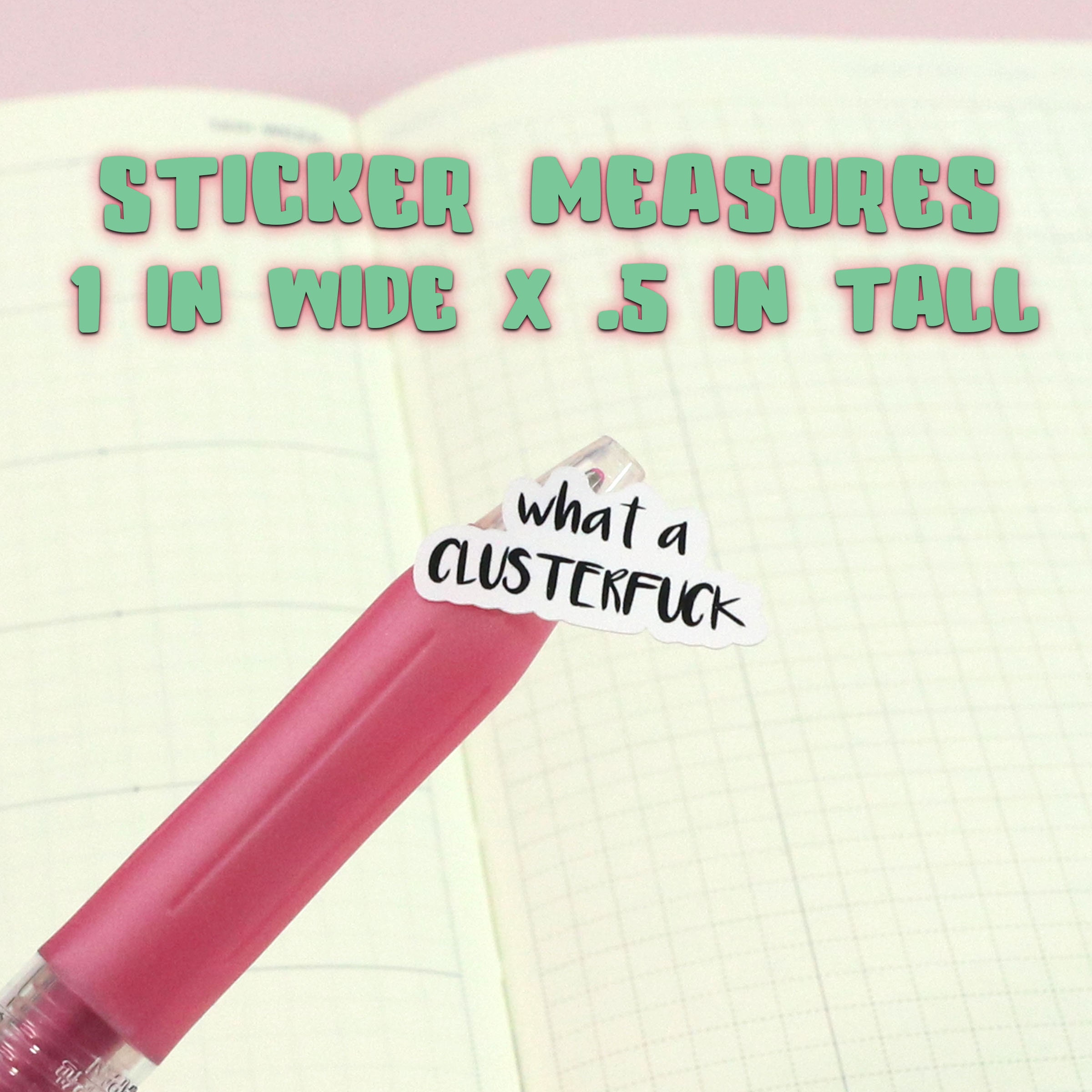 Sassy Stickers Cursing Stickers Curse Word Stickers - Etsy