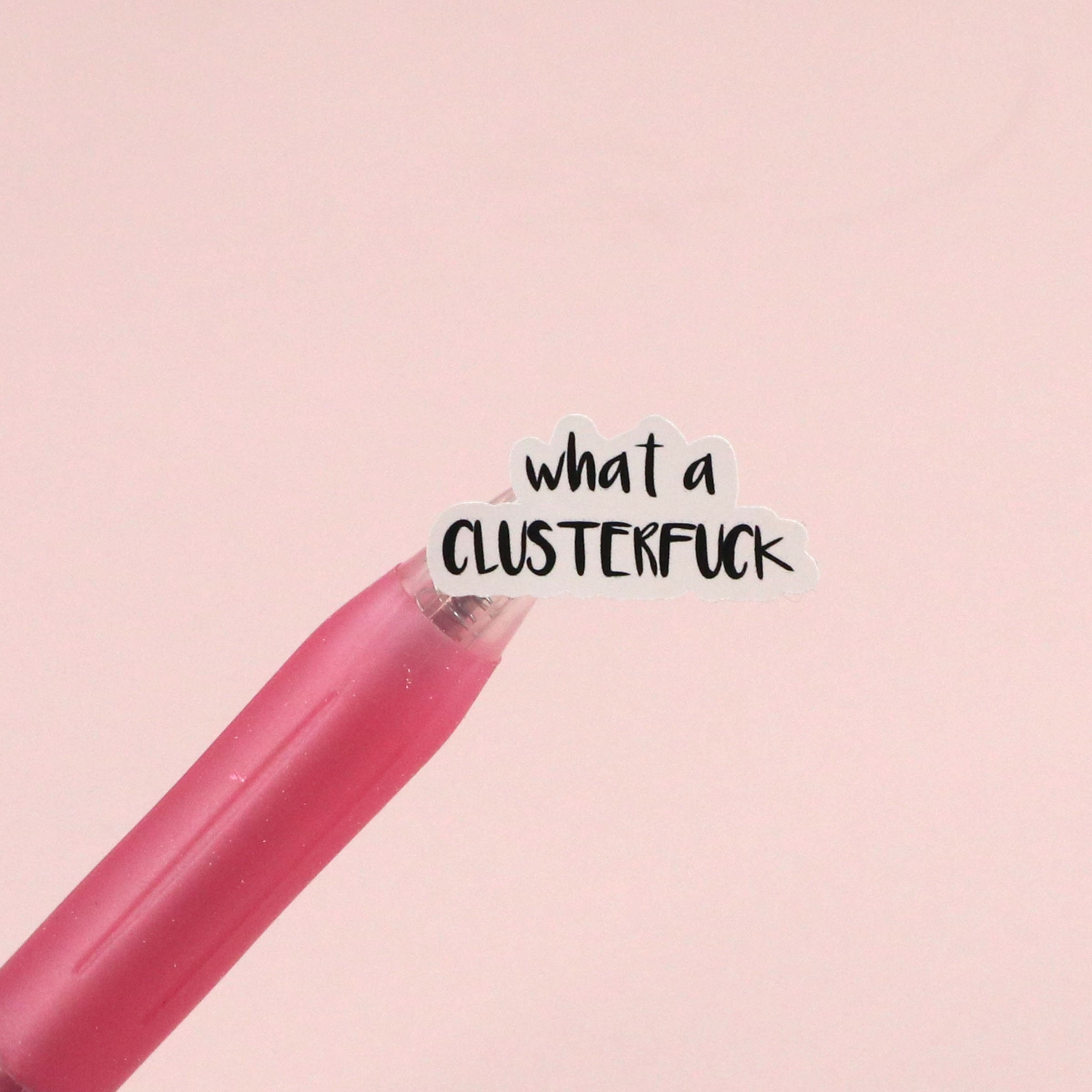 Sassy Stickers Cursing Stickers Curse Word Stickers - Etsy