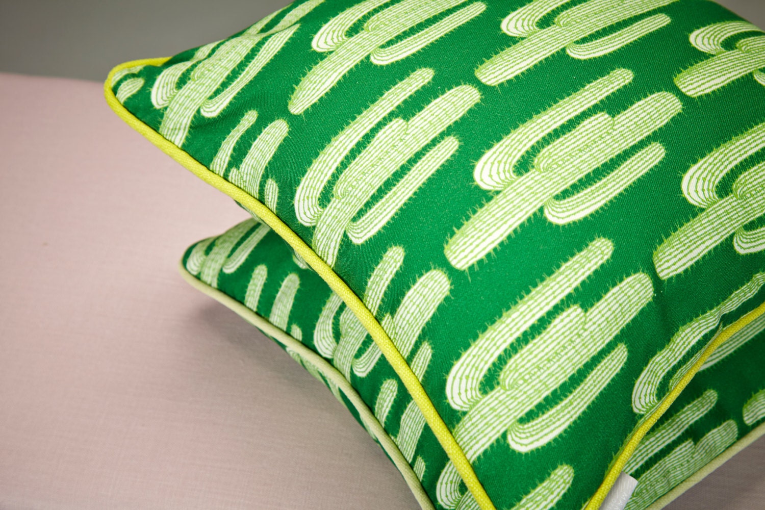 Cactus Cushion With Light Green Piping - Etsy