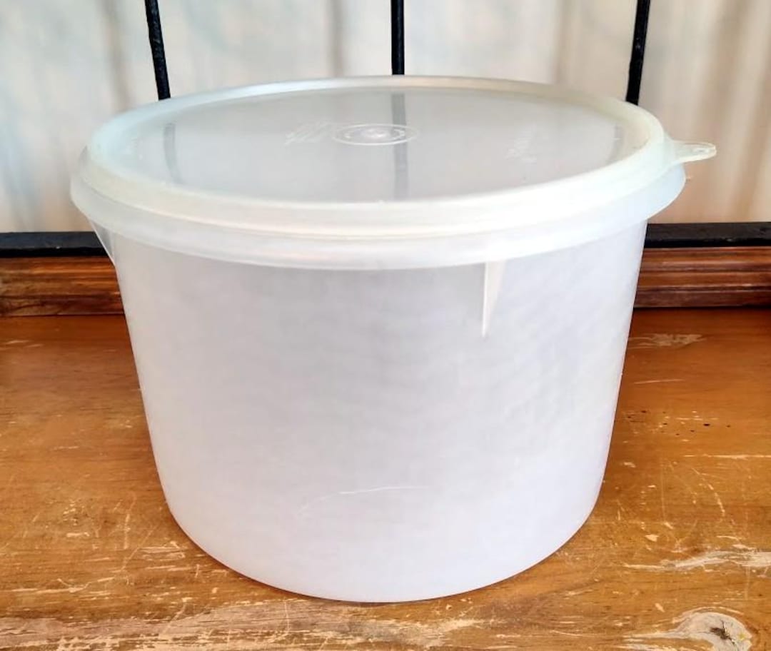 Vintage Tupperware Millionaire Line Container Clear #266 W/#229 "tupper ...