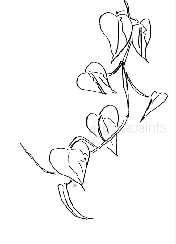 Print: Pothos observational drawing | Etsy