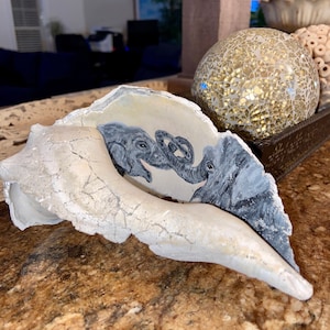 Conch Shell Elephant Love - Etsy