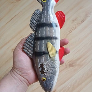 Speckled Pavon, Cichla Temensis, Peacock Cichlid, Tucunare Pinima, 9-12 ...