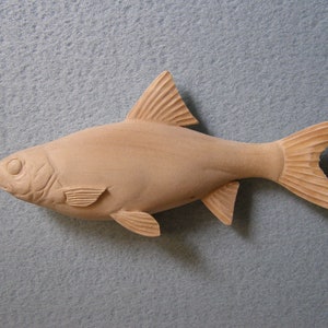 20 Cm 3D Wooden Sculpture of Fish Plotva RUTILUS RUTILUS | Etsy