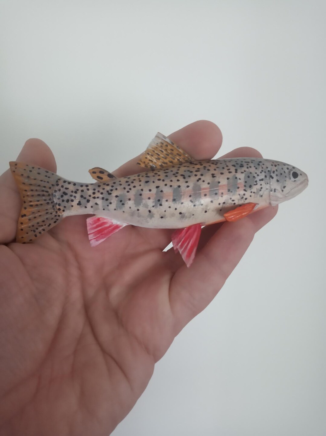 Mexican Golden Trout, Oncorhynchus Chrysogaster, 5-8 Inches 3D Wall ...
