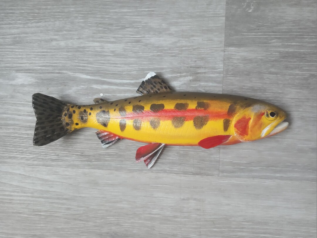 California Golden Trout, Oncorhynchus Mikyss Aguabonita, 9-12 Inches 3D ...
