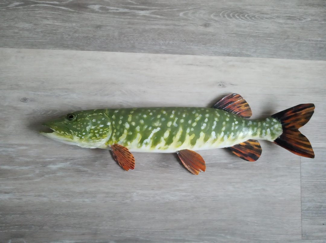 Northern Pike, Esox Lucius, Pike, 13-16 Inches 3D Wall Wooden Fish, One ...