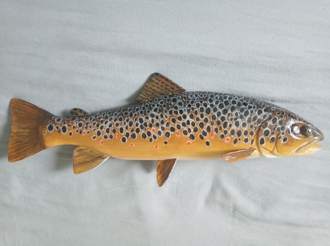 Brown Trout, Salmo Trutta, River Trout, 13-16 Inches 3D Wall Wooden ...