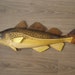55 cm 3D wall wooden sculpture of Fish Atlantic cod Gadus | Etsy