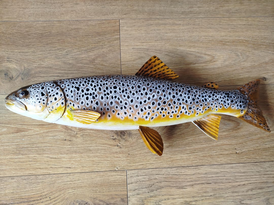 Brown Trout, Salmo Trutta, River Trout, 22-25 Inches 3D Wooden Fish ...