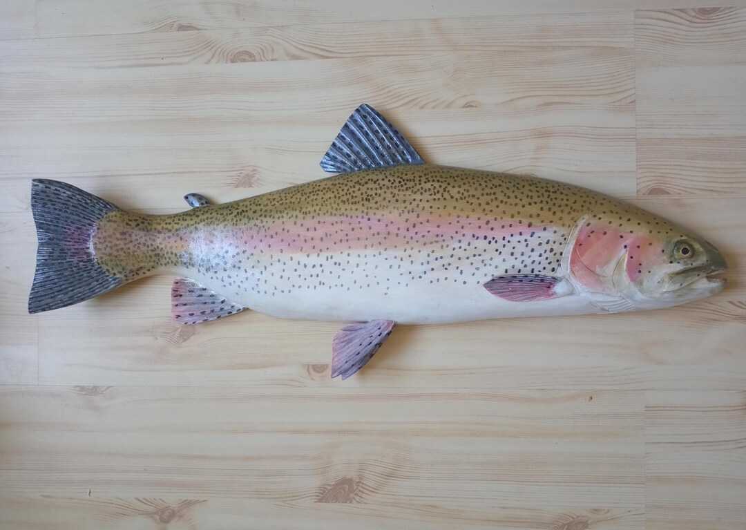 Rainbow Trout, Oncorhynchus Mykiss, 26-30 Inches 3D Wooden Fish, Both ...