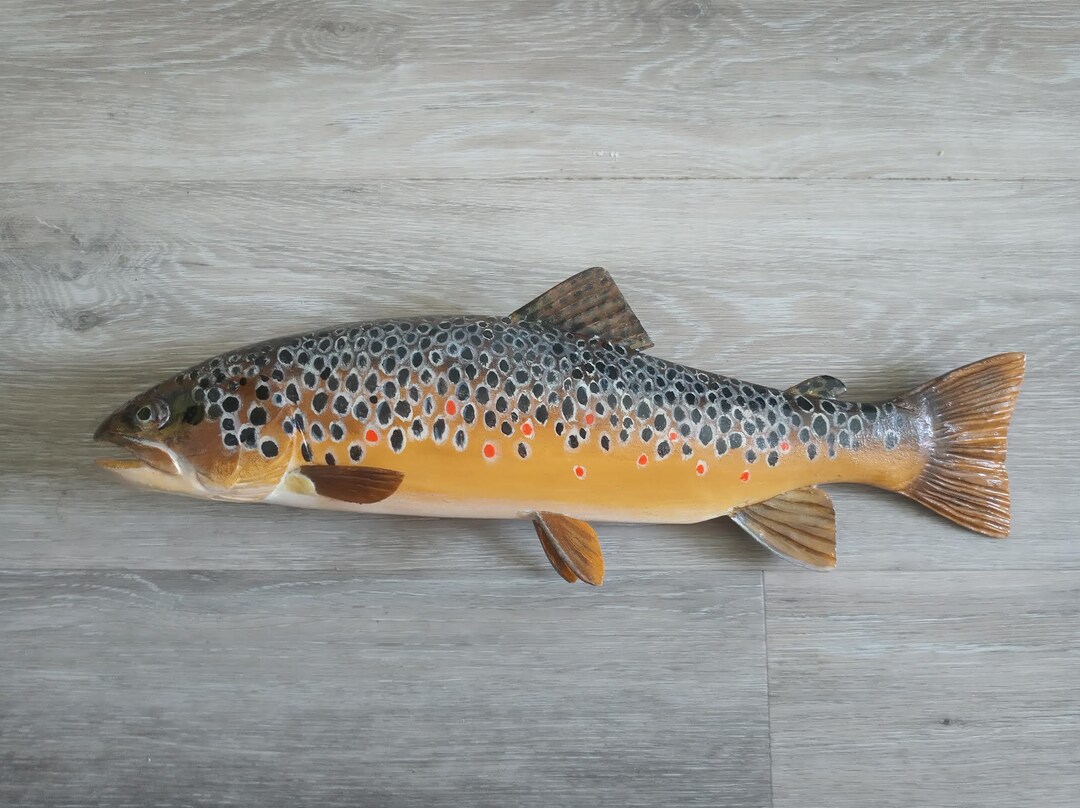 Brown Trout, Salmo Trutta, River Trout, 9-12 Inches 3D Wooden Fish ...