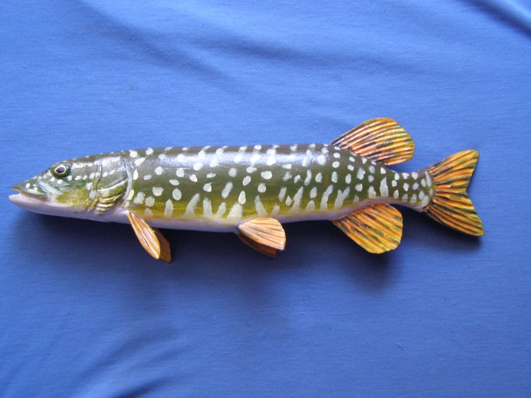 Northern Pike, Esox Lucius, Pike, 13-16 Inches 3D Wooden Fish, Both ...