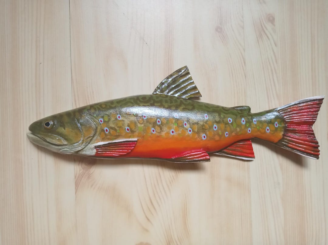 Char, Salvelinus Fontinalis, Brook Trout, 13-16 Inches 3D Wall Wooden ...