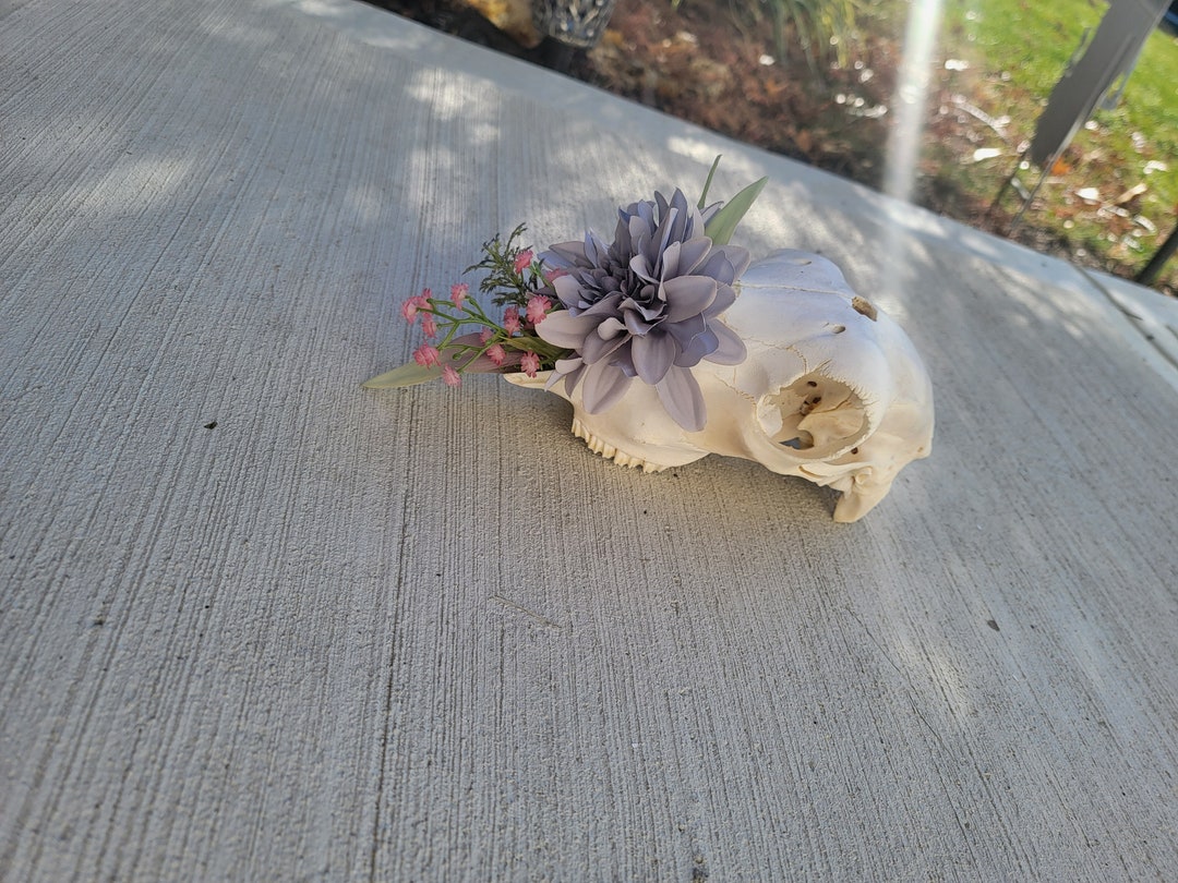 Floral Lamb Skull - Etsy