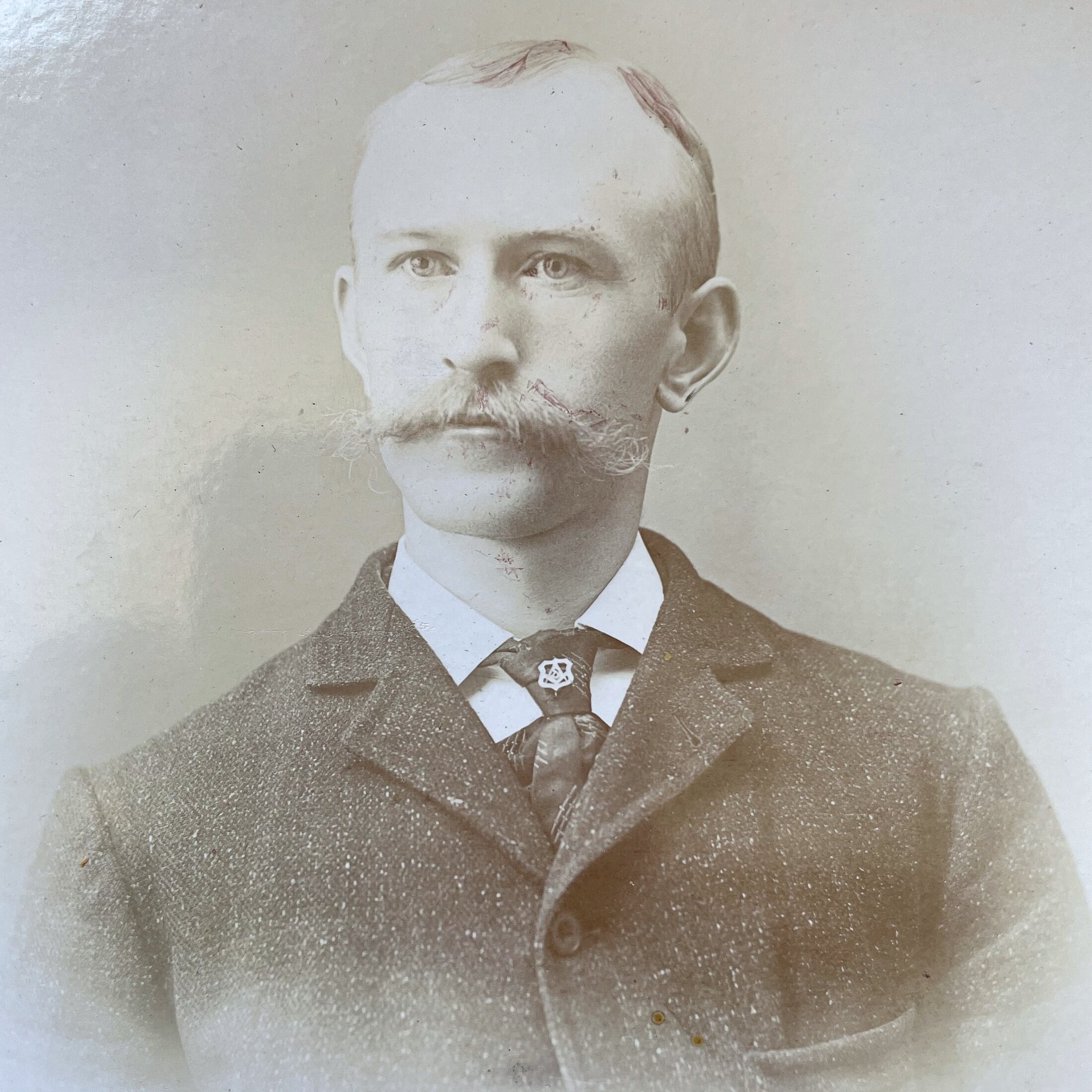 1900s Photo of Gents, Cabinet Photo for Collecting Crafting Repurpose ...