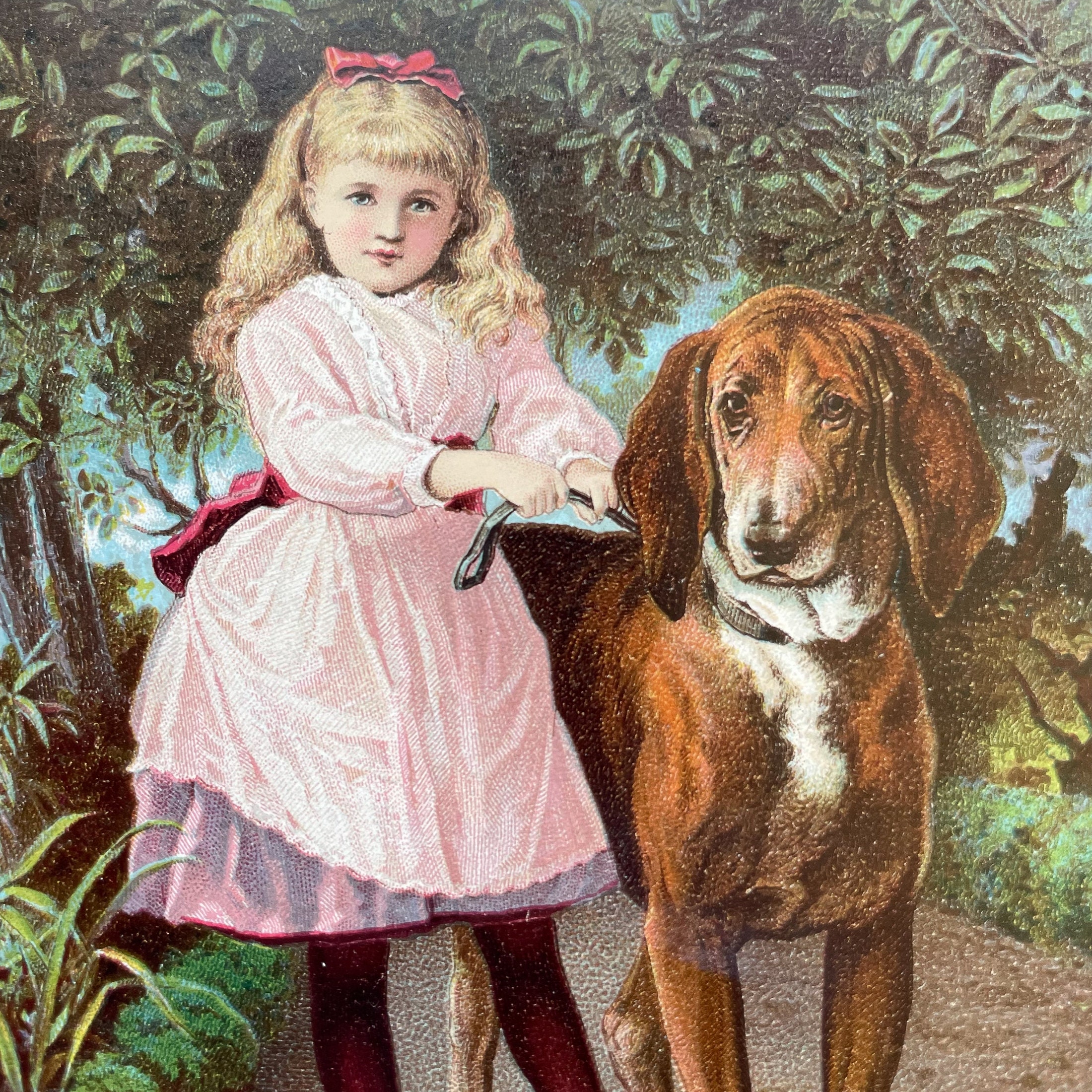 Victorian Antique 1900s Trade Card, Maxson Bigelow Dr Jayne's Tonic ...