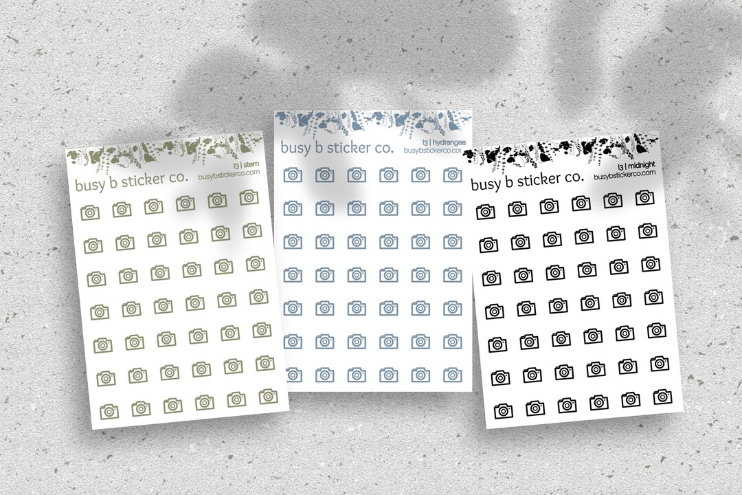 99 CENTS Mini Camera Icon Planner Stickers I3 - Etsy