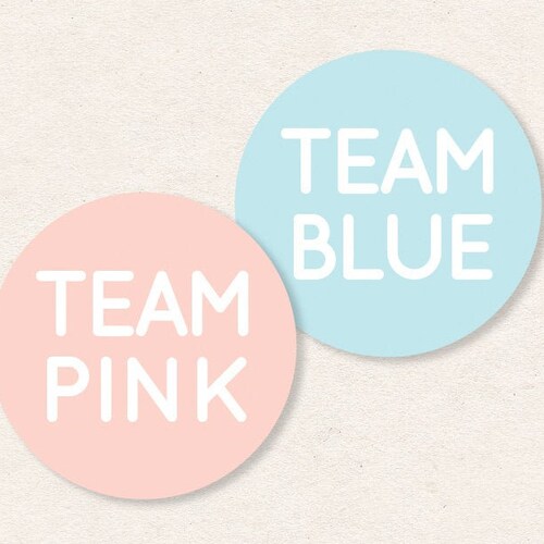 Gender Reveal Party Stickers Team Pink Team Blue Gender | Etsy