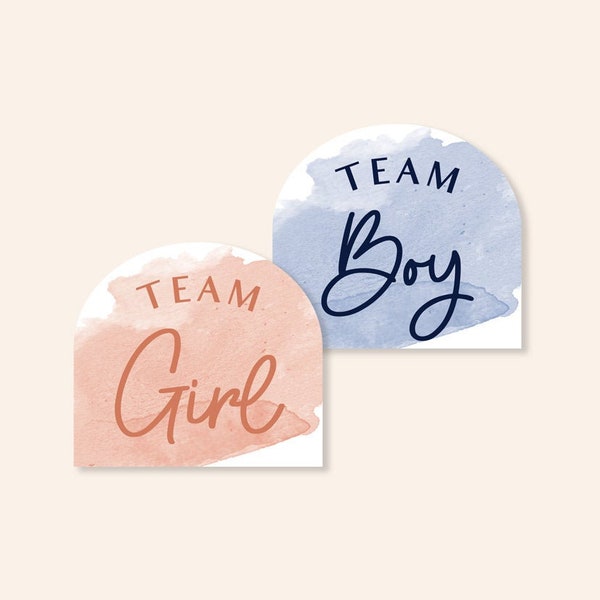 Team Boy Team Girl Stickers - Etsy
