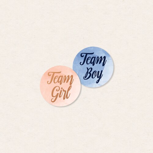Team Pink Team Blue Gender Reveal Baby Party Stickers Pink - Etsy