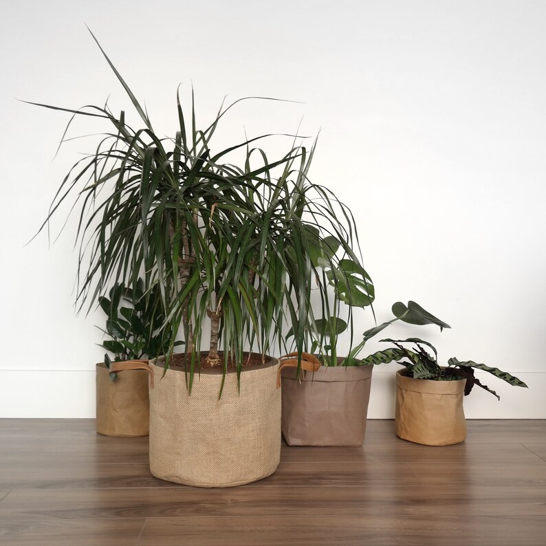 Washable Kraft Paper Bag Bundles 1ea-small 1ea Large - Etsy