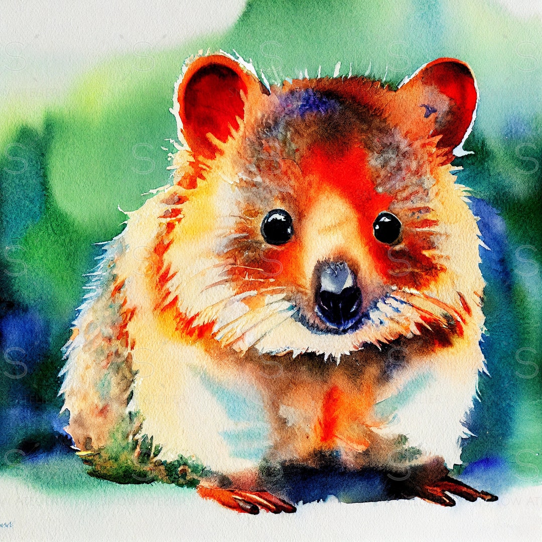 Watercolor Painting of a Quokka Digital Art - Etsy