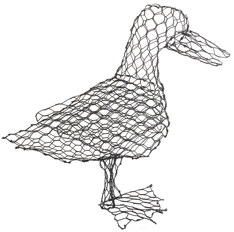 Chickenwired Sculpture Kit - Duck & Beginners Duckling - Etsy