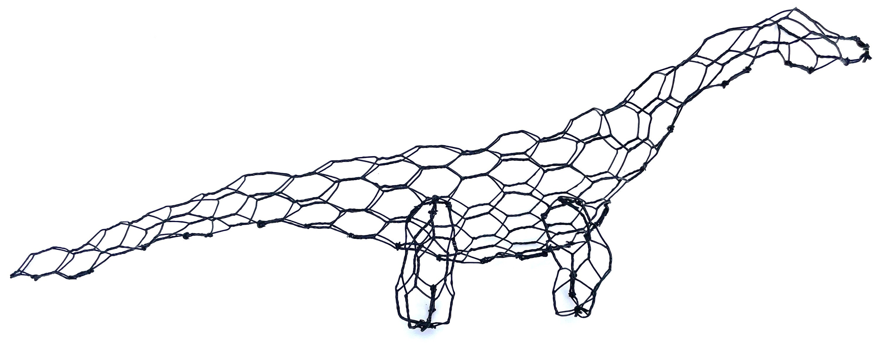 Chickenwired Sculpture Kit Diplodocus & Beginners Diplodocus - Etsy