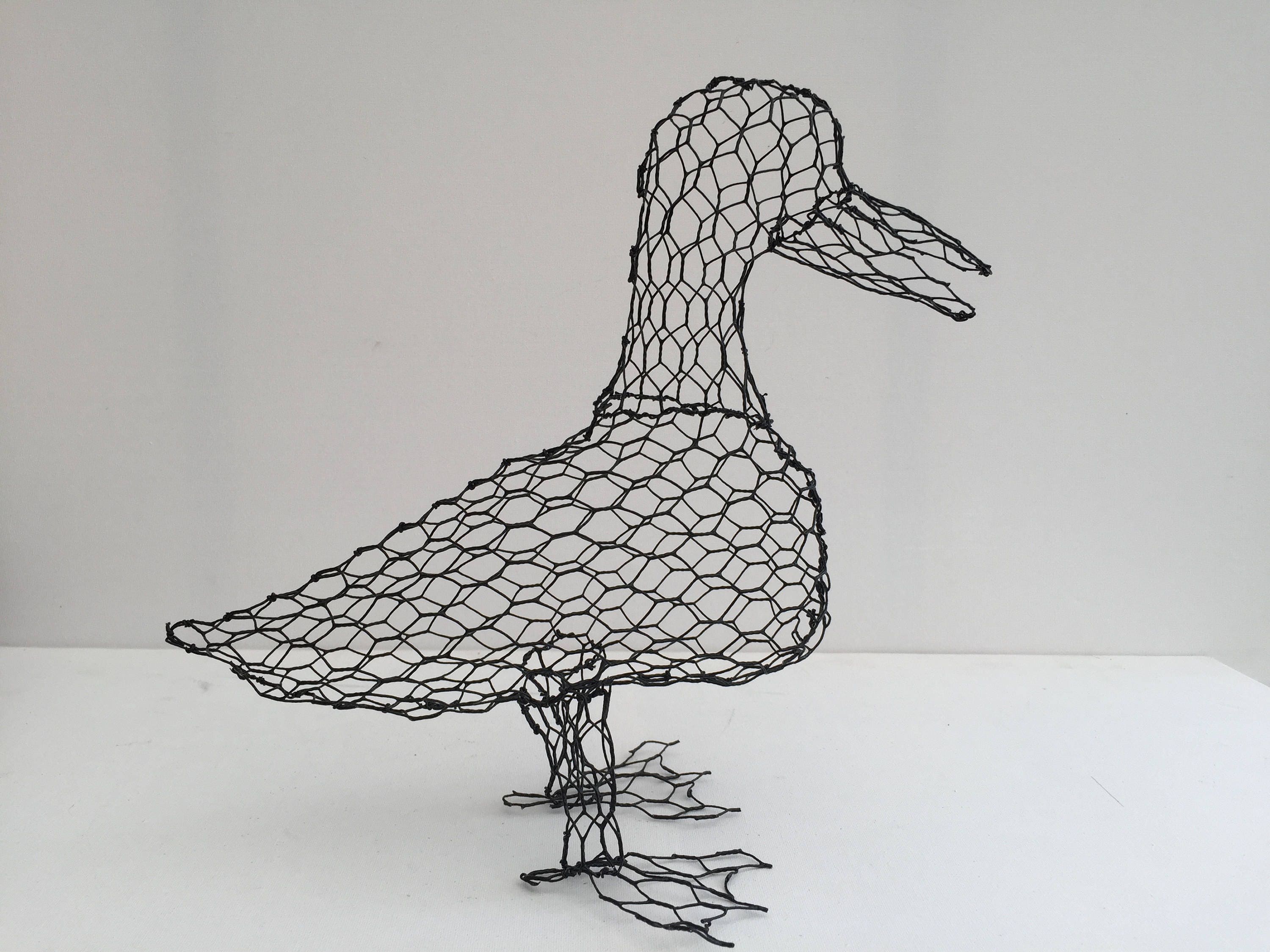 Chickenwired Sculpture Kit - Duck & Beginners Duckling - Etsy