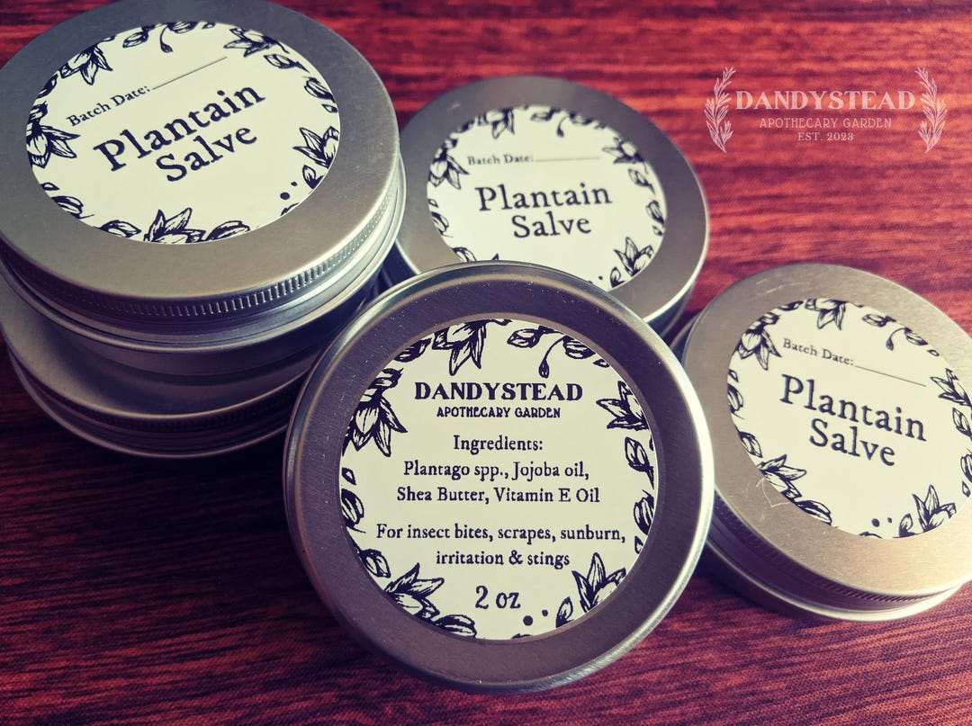 Plantain Salve - 2oz Tin - Heal Mosquito Bites, Cuts and Scrapes - Etsy