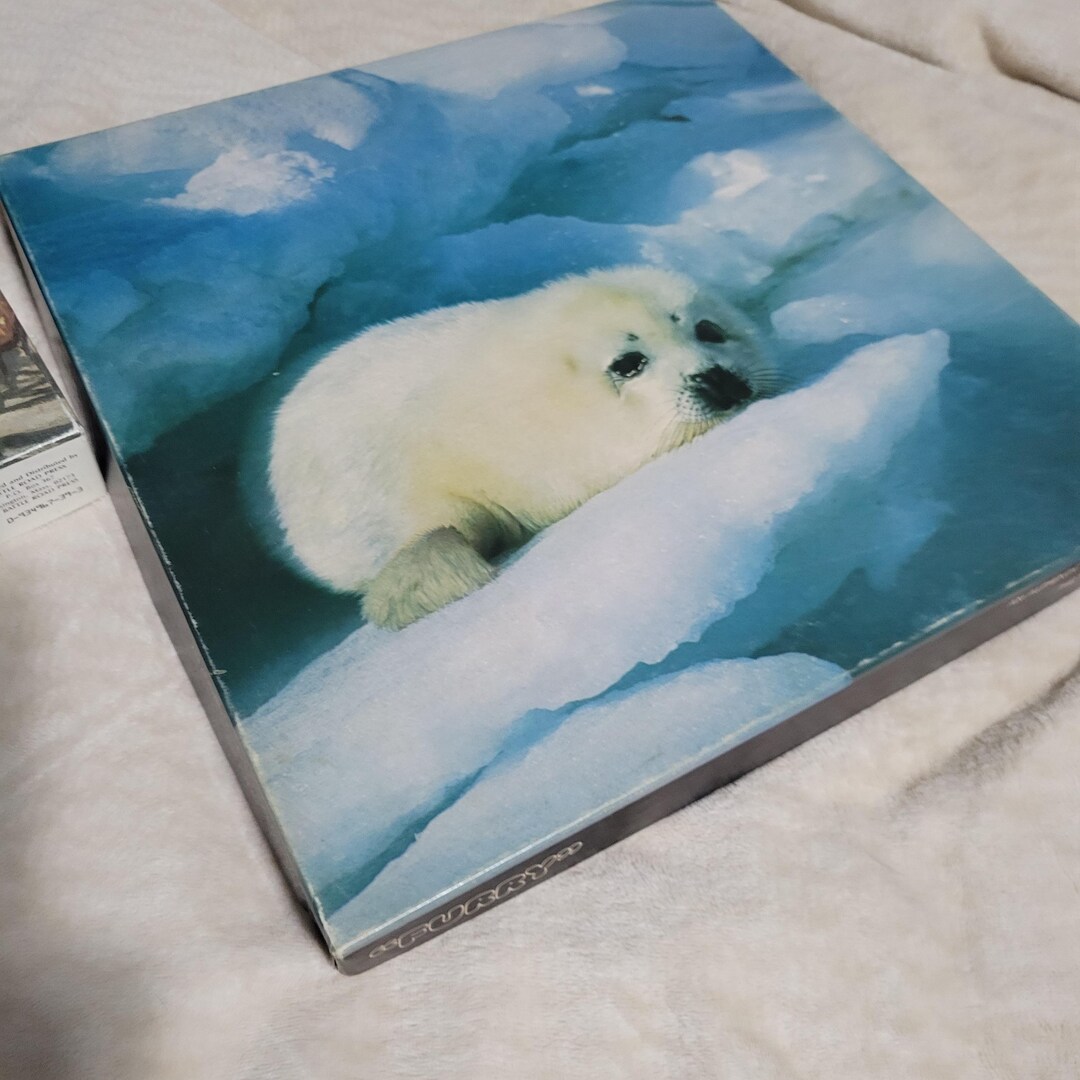 Vintage 70's Springbok complete-furry - Etsy