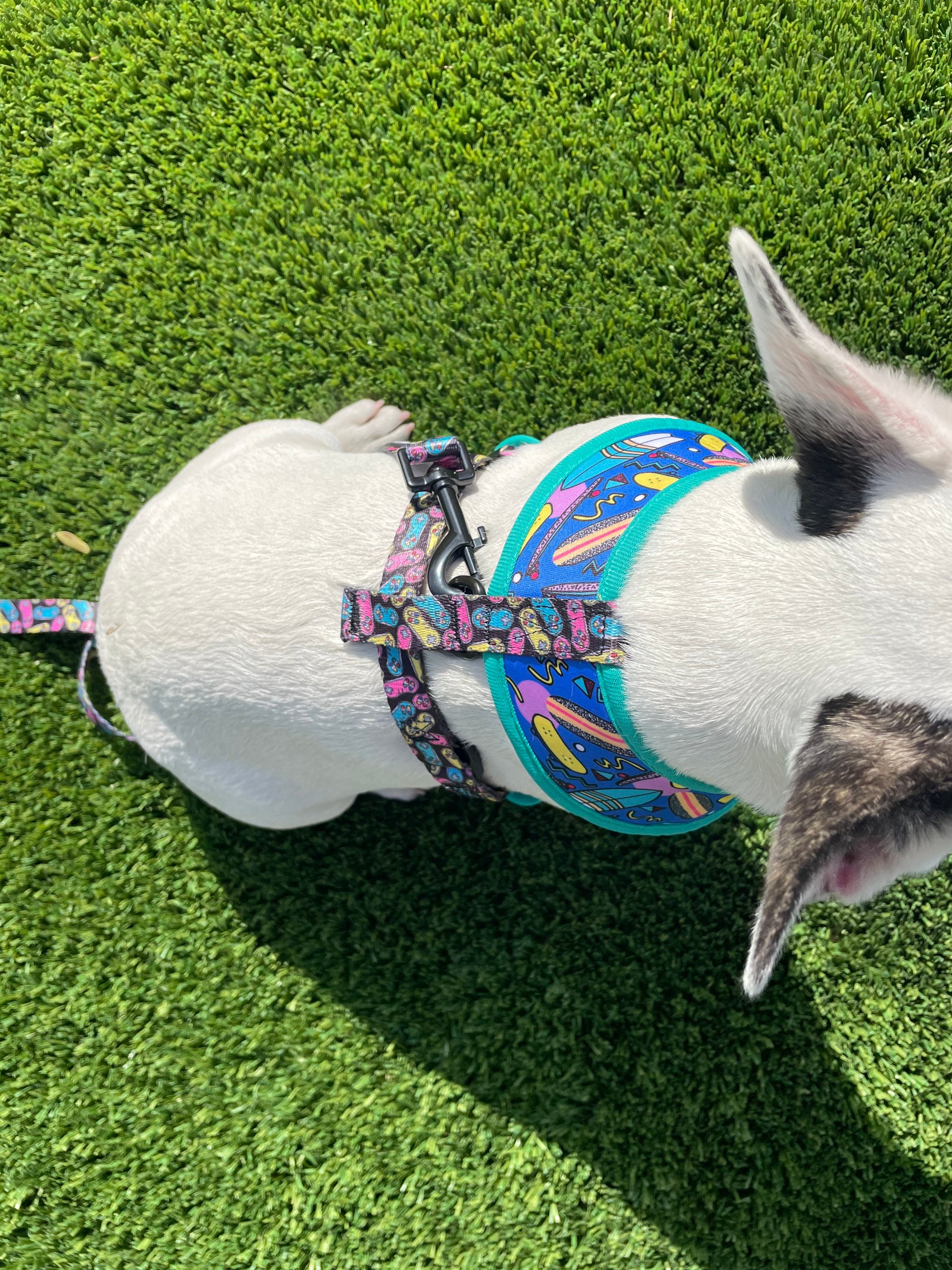 Smash Face Reversible “80s Video Games and Shred Sesh” Print Dog ...
