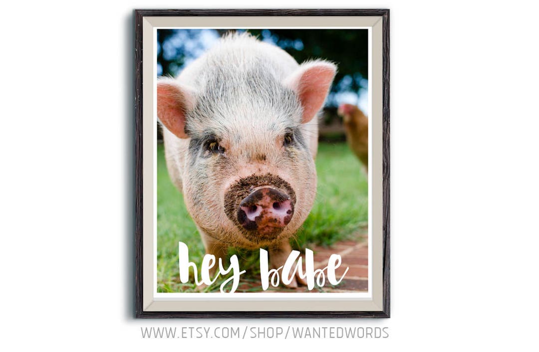 Pig Wall Art Prints Hey Babe Pig Art Digital Print Gift for the Hard to ...