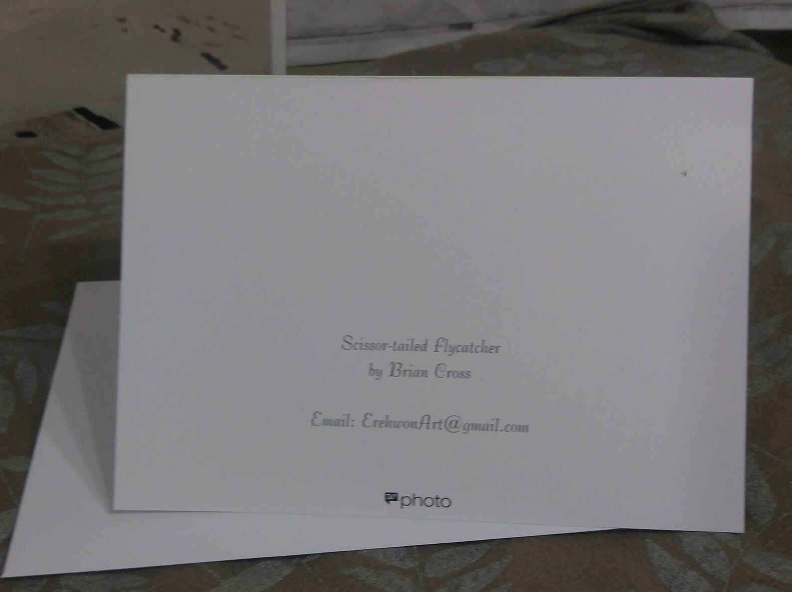 Scissor-tailed Flycatcher Card set of 4 Bird Card Spring - Etsy