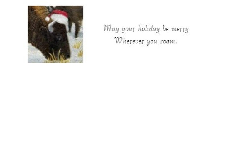 Buffalo Christmas Card [SET of 5 or 10]: Bison Card, Holiday Card ...