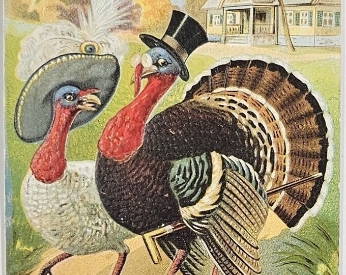 Thanksgiving Postcard Anthropomorphic Turkey and Wife Dressed for ...