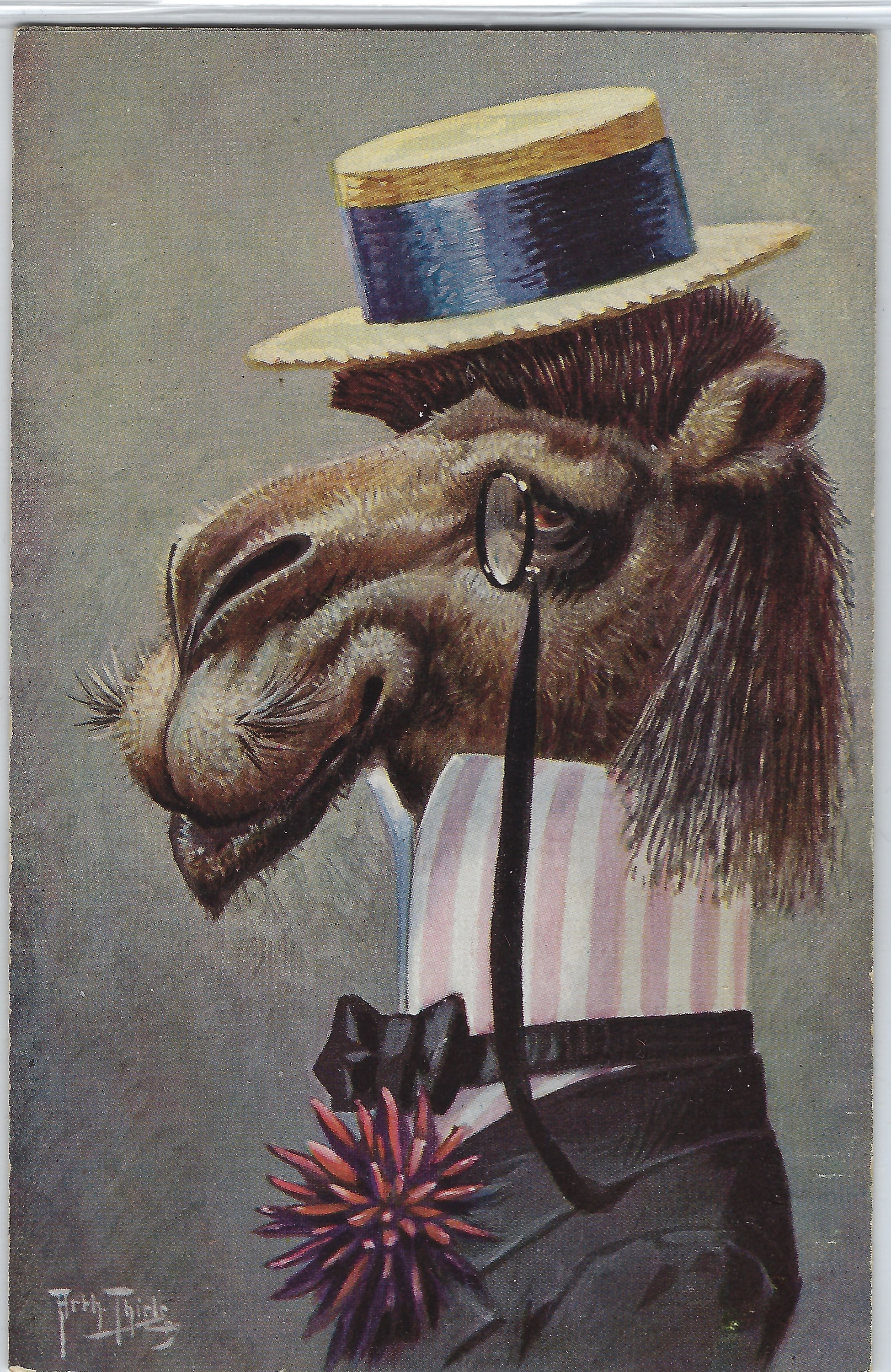Rare Arthur Thiele Camel Postcard: Anthropomorphic Animal in Straw Hat ...