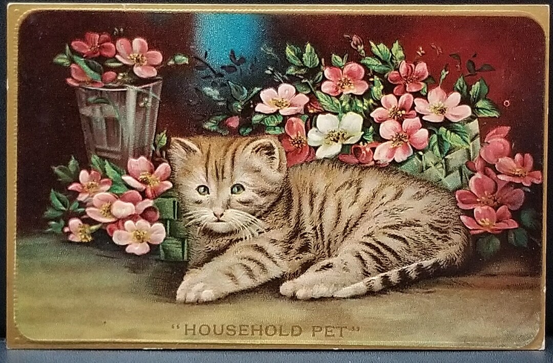 Animal Postcard Kitten With Flowers Series 663 Titled Household Pet Gel ...